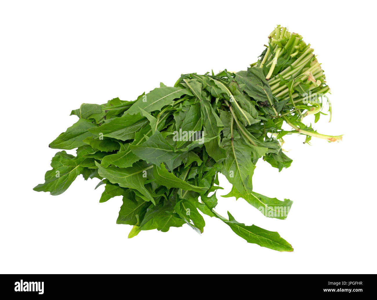 Side view of a bunch of organic dandelion greens isolated on a white ...