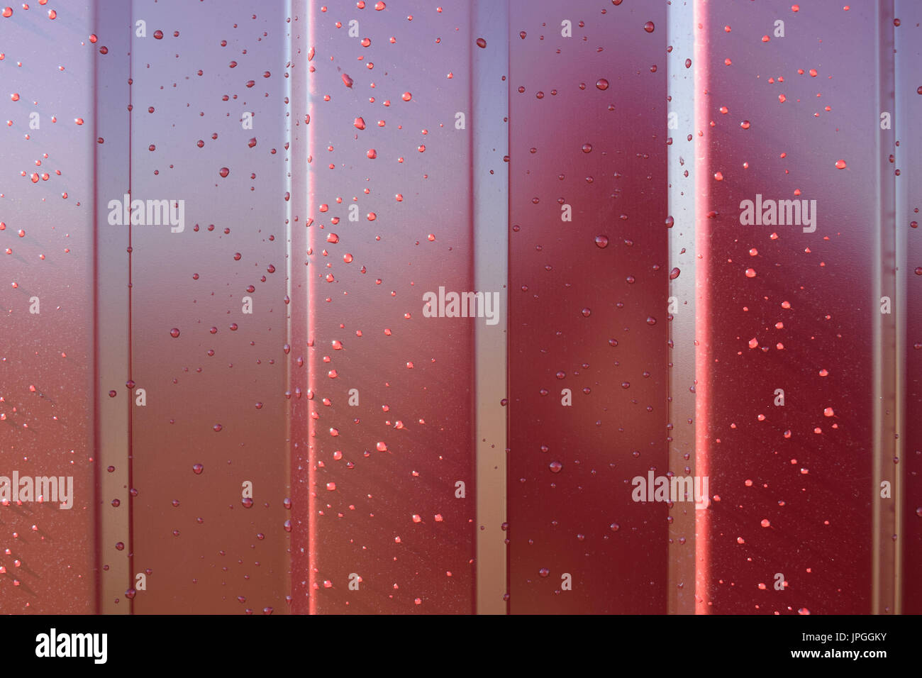 Diagonal pattern of metal profile. Fences from the galvanized iron ...