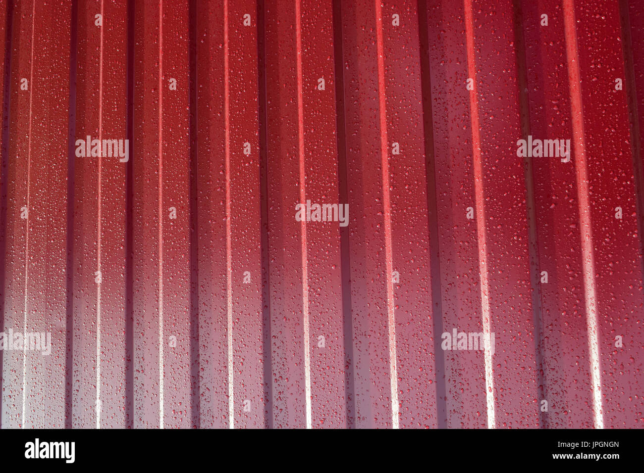 Diagonal pattern of metal profile. Fences from the galvanized iron ...