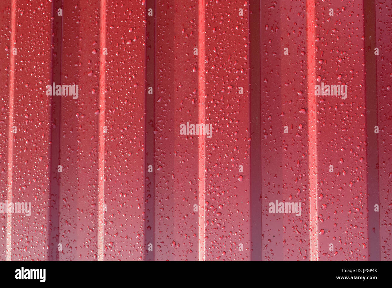 Diagonal pattern of metal profile. Fences from the galvanized iron ...