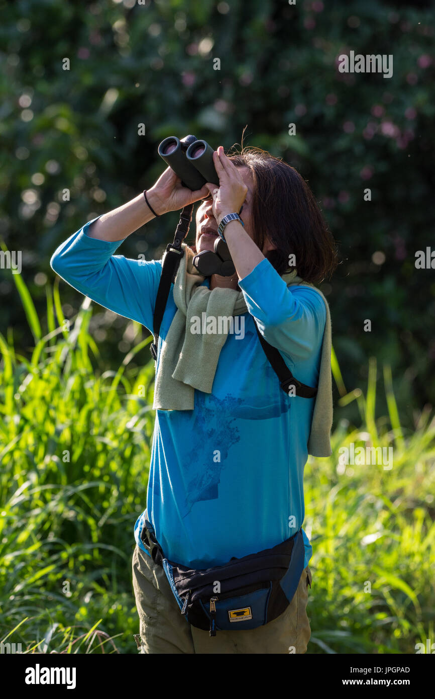 A woman bird watching with binoculars. Colombia, South America Stock ...