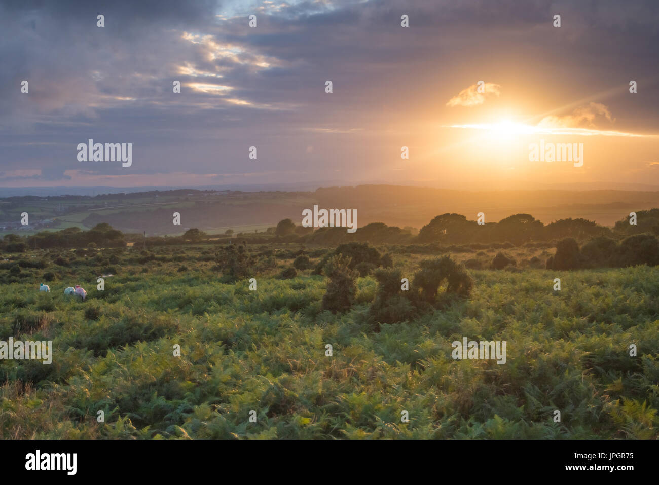 Dramatic moorland sunset hi-res stock photography and images - Alamy