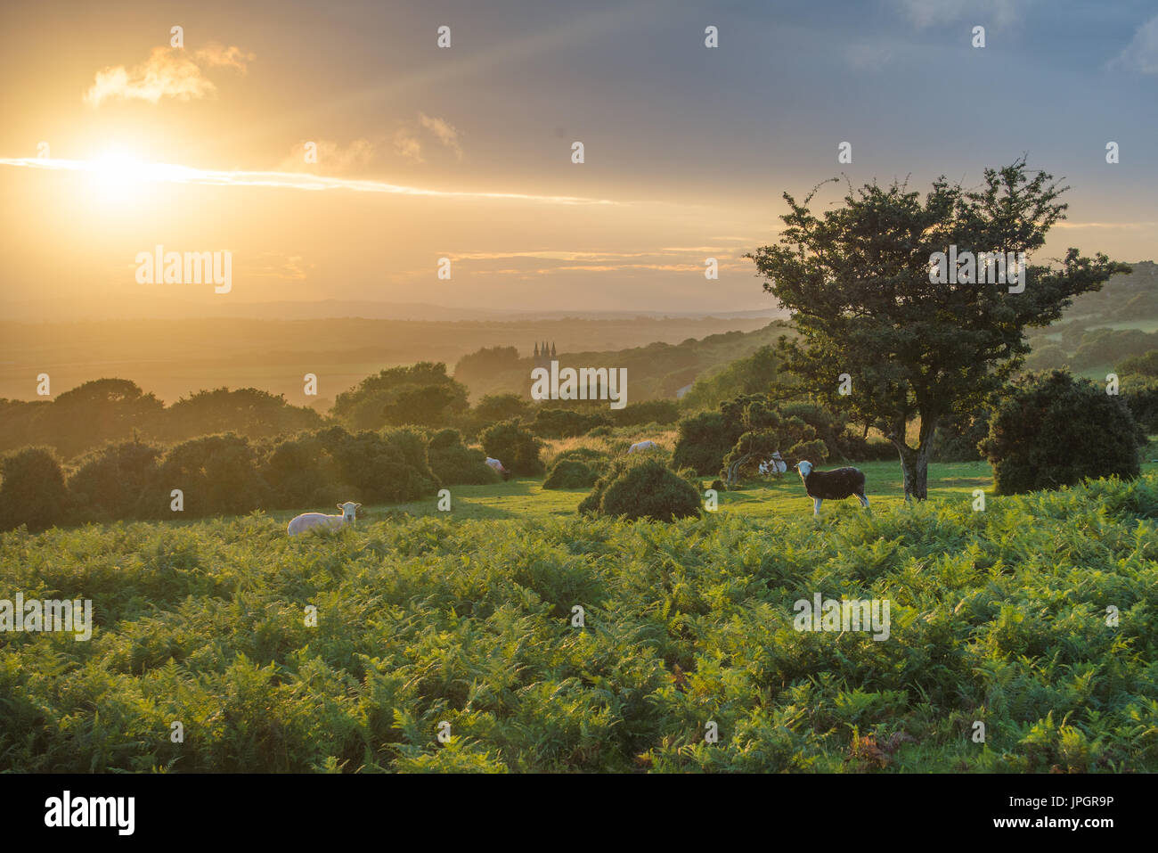 Dramatic moorland sunset hi-res stock photography and images - Alamy