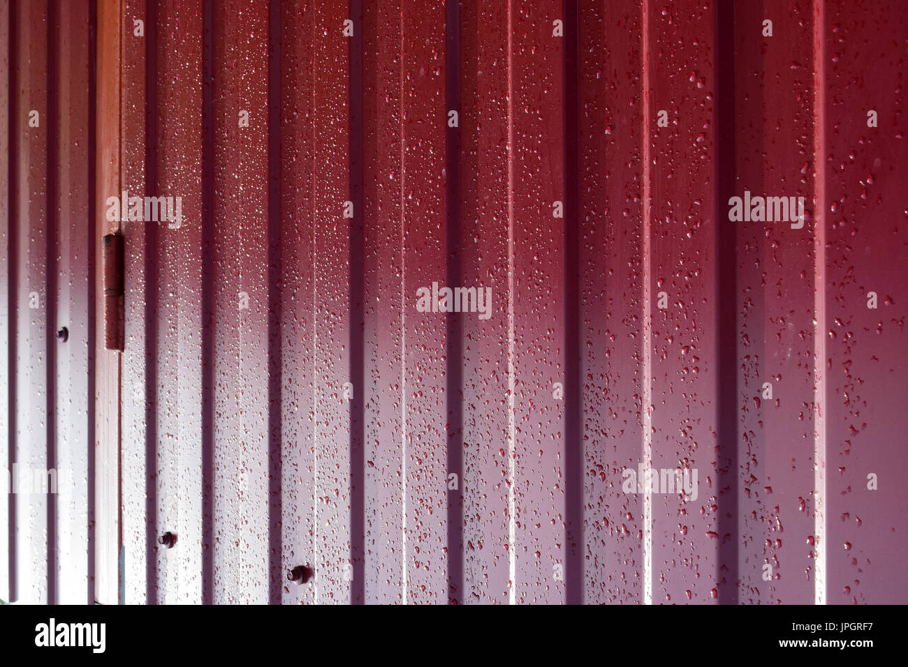 Diagonal pattern of metal profile. Fences from the galvanized iron ...