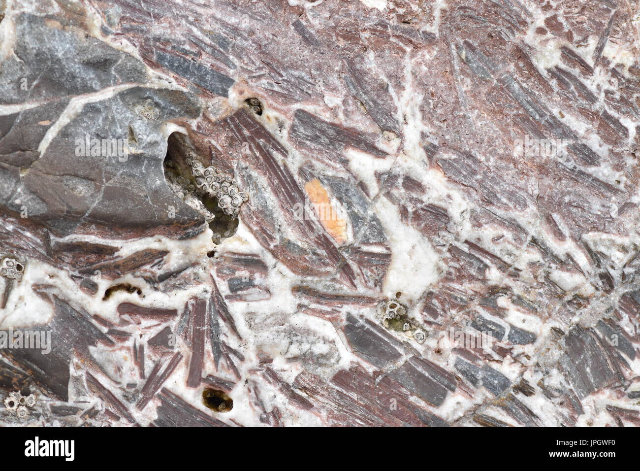 Quartz sandstone hi-res stock photography and images - Alamy