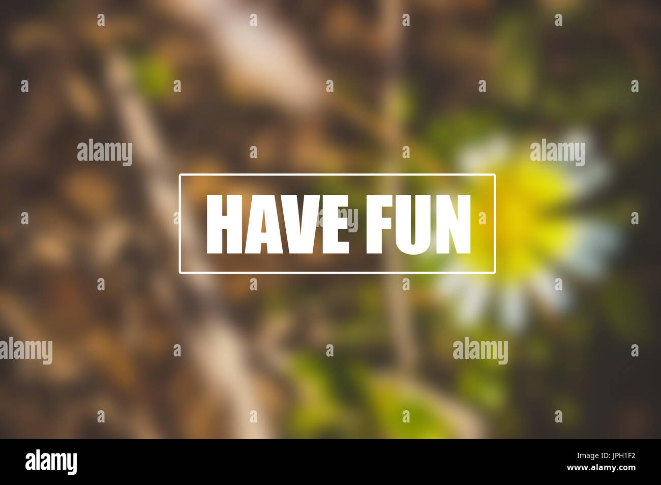 Fun word hi-res stock photography and images - Alamy