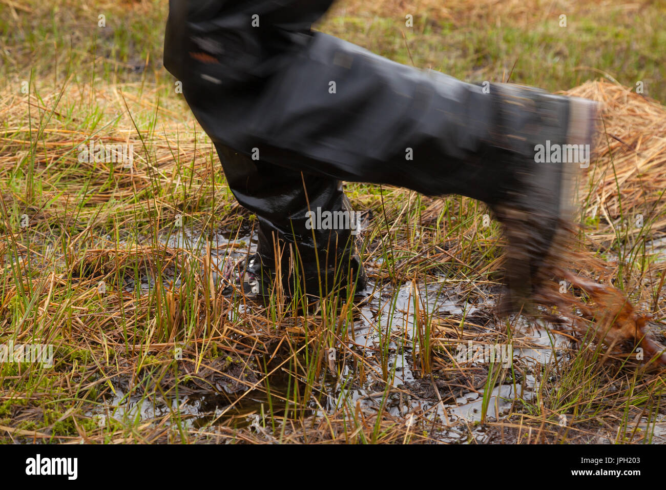 Wet path hi-res stock photography and images - Alamy