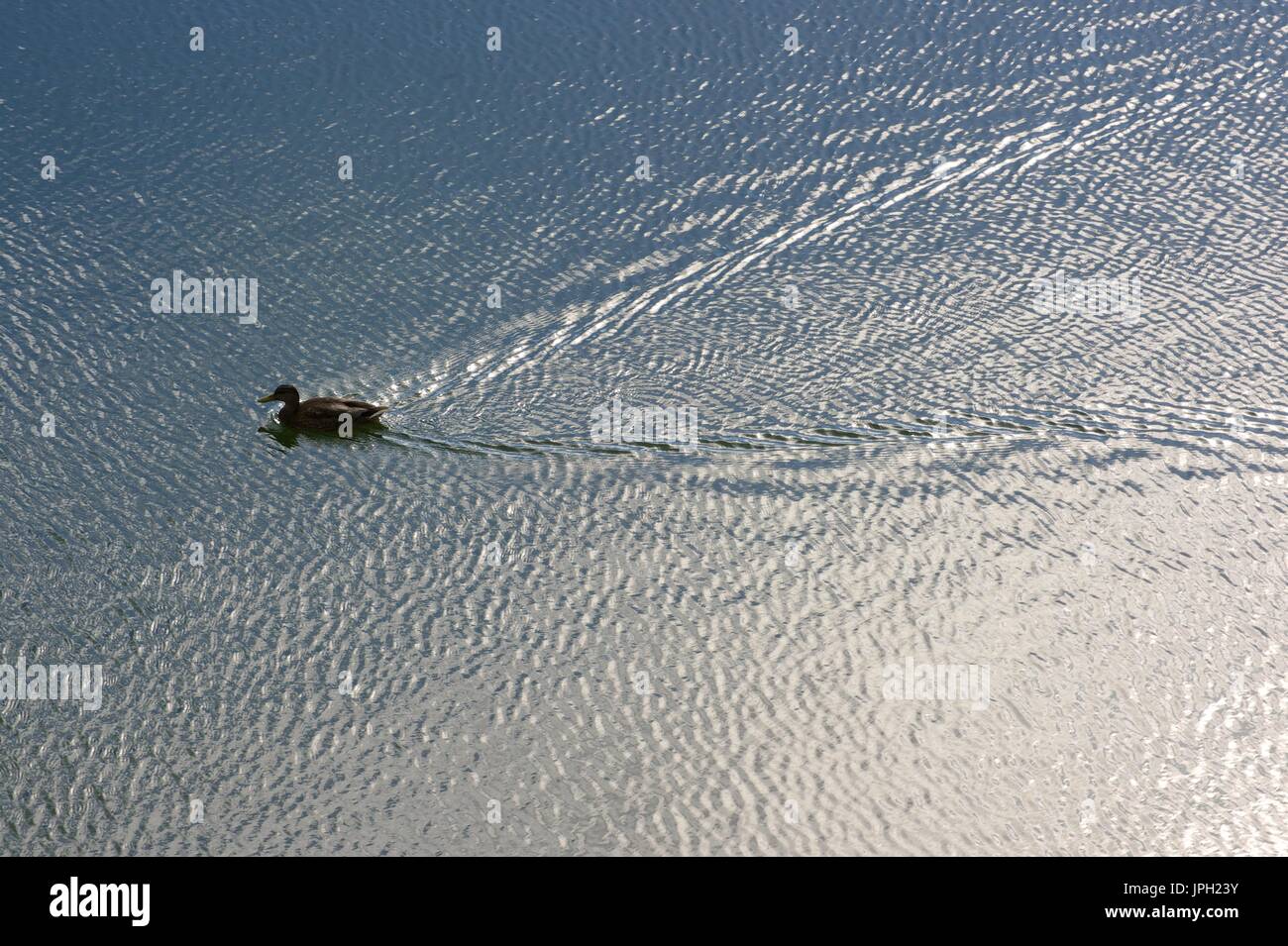Watermark cotswolds hi-res stock photography and images - Alamy
