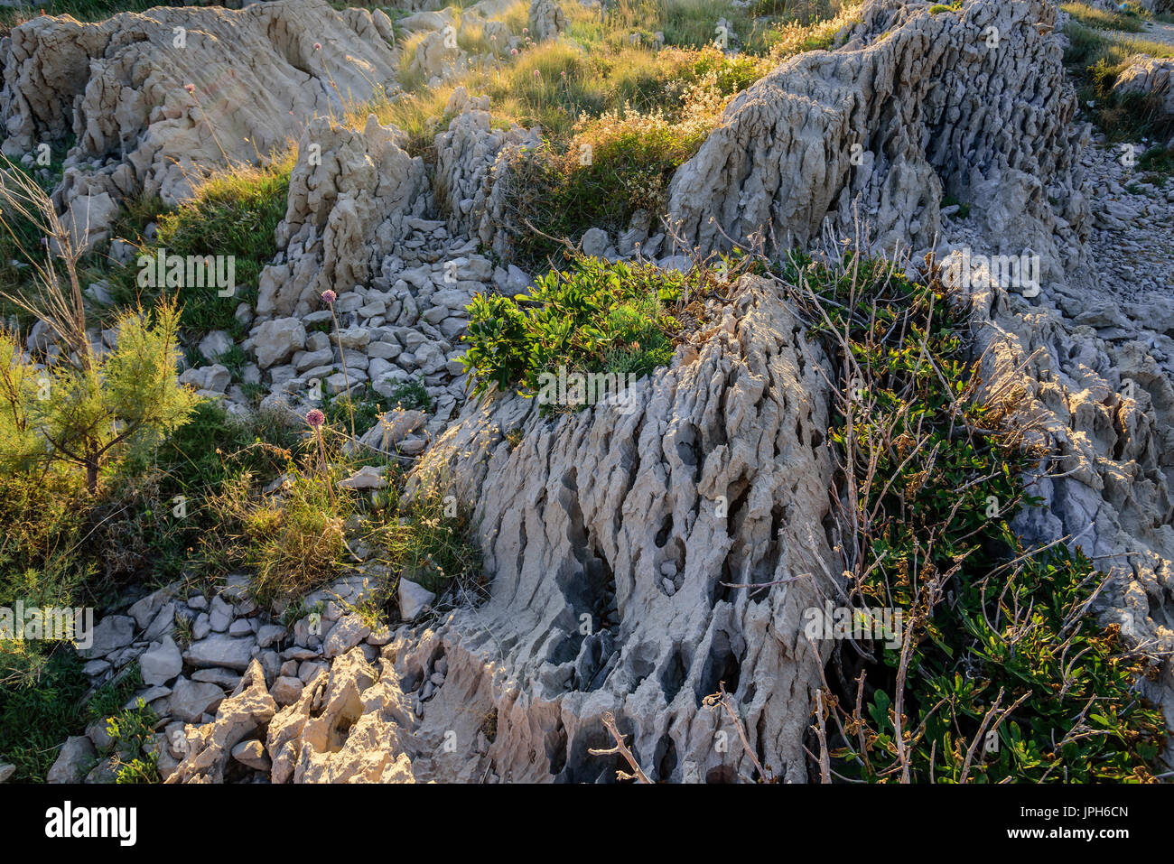 Porous sandstone hi-res stock photography and images - Alamy