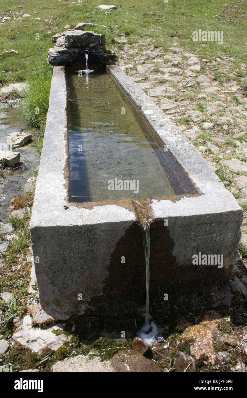 Bath-tub drinking water trough 2 Stock Photo - Alamy