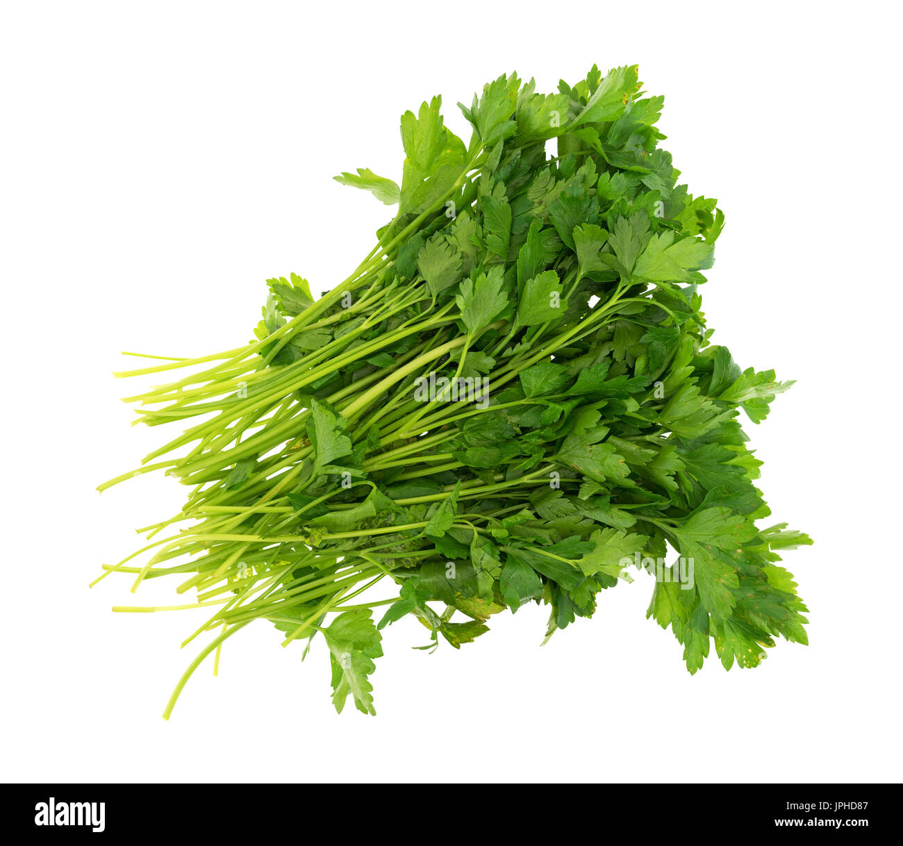 Large stems of parsley hi-res stock photography and images - Alamy