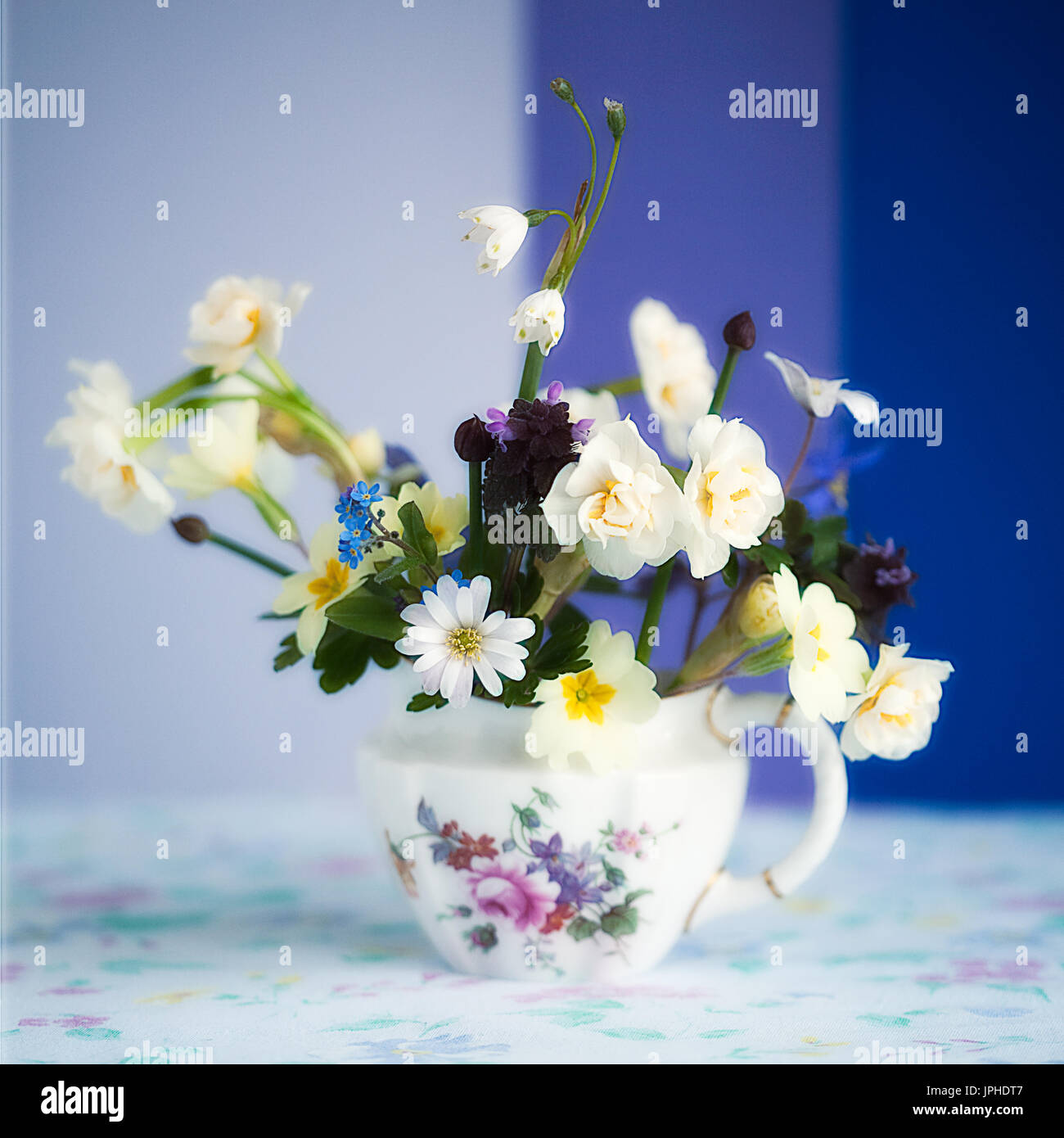 collection of Spring cut flowers Stock Photo - Alamy