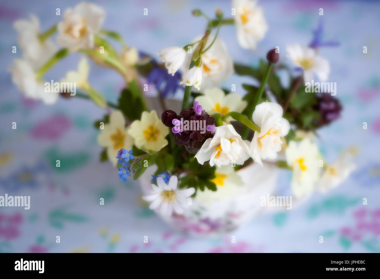 collection of Spring cut flowers Stock Photo - Alamy