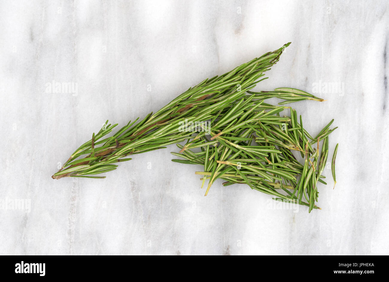 Top view of a branch of organic rosemary with needles to the side atop ...