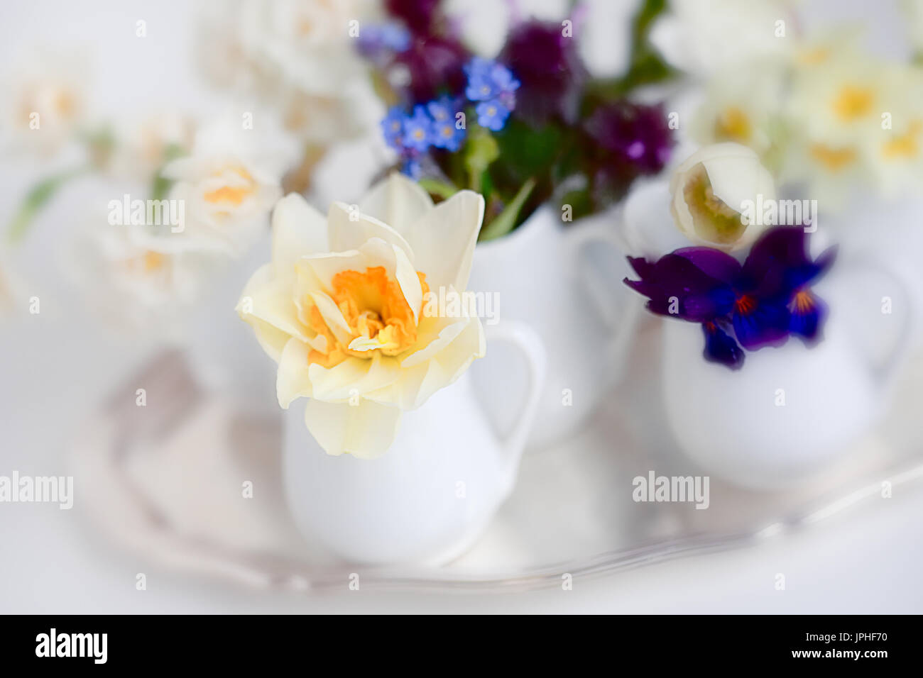 collection of Spring cut flowers Stock Photo - Alamy