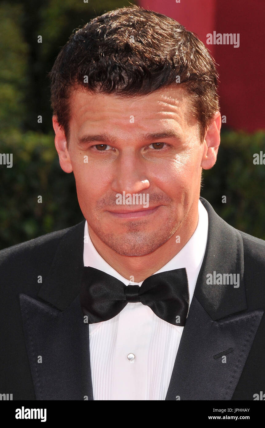 David Boreanaz at the 61st Annual Primetime Emmy Awards - Arrivals held ...