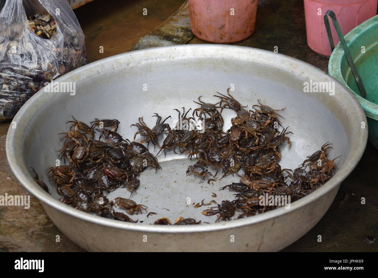 Fish and shell fish Stock Photo - Alamy