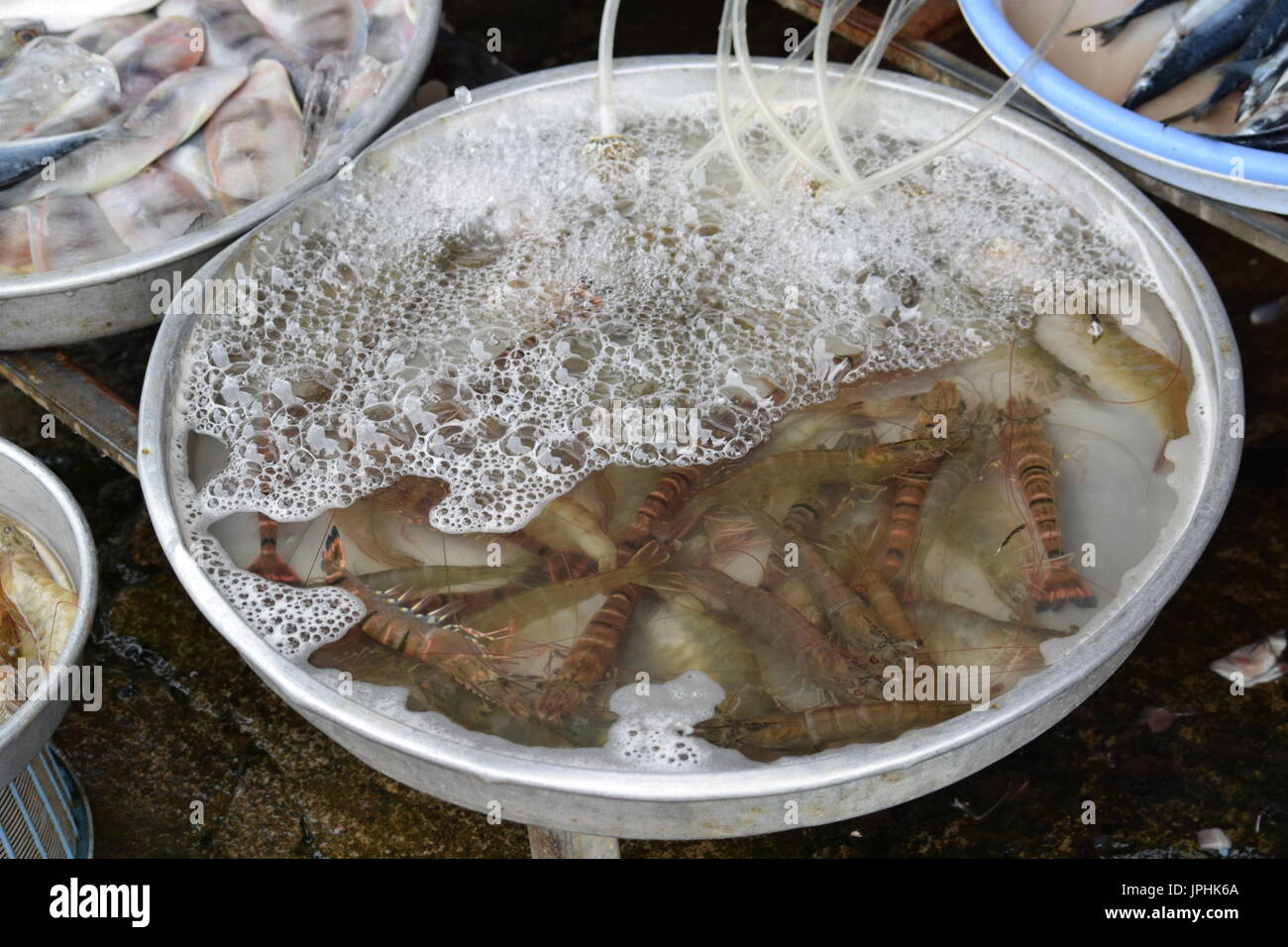Fish and shell fish Stock Photo - Alamy