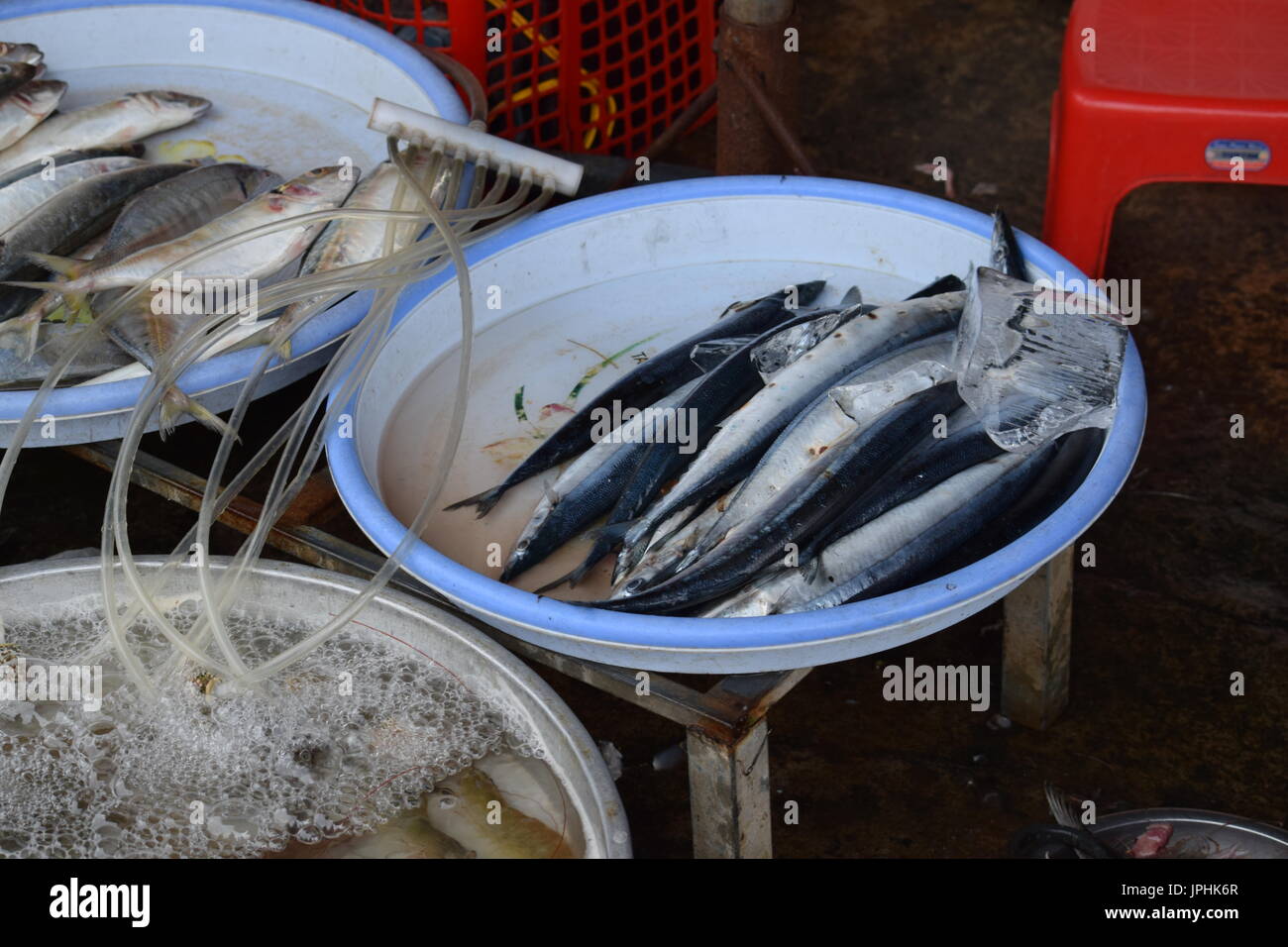 Fish and shell fish Stock Photo - Alamy