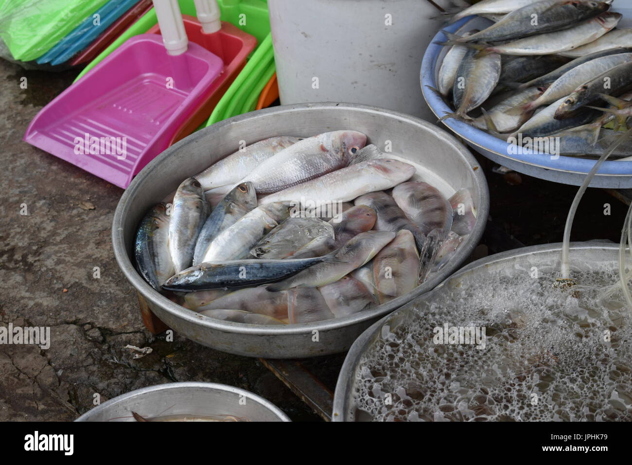 Fish and shell fish Stock Photo - Alamy