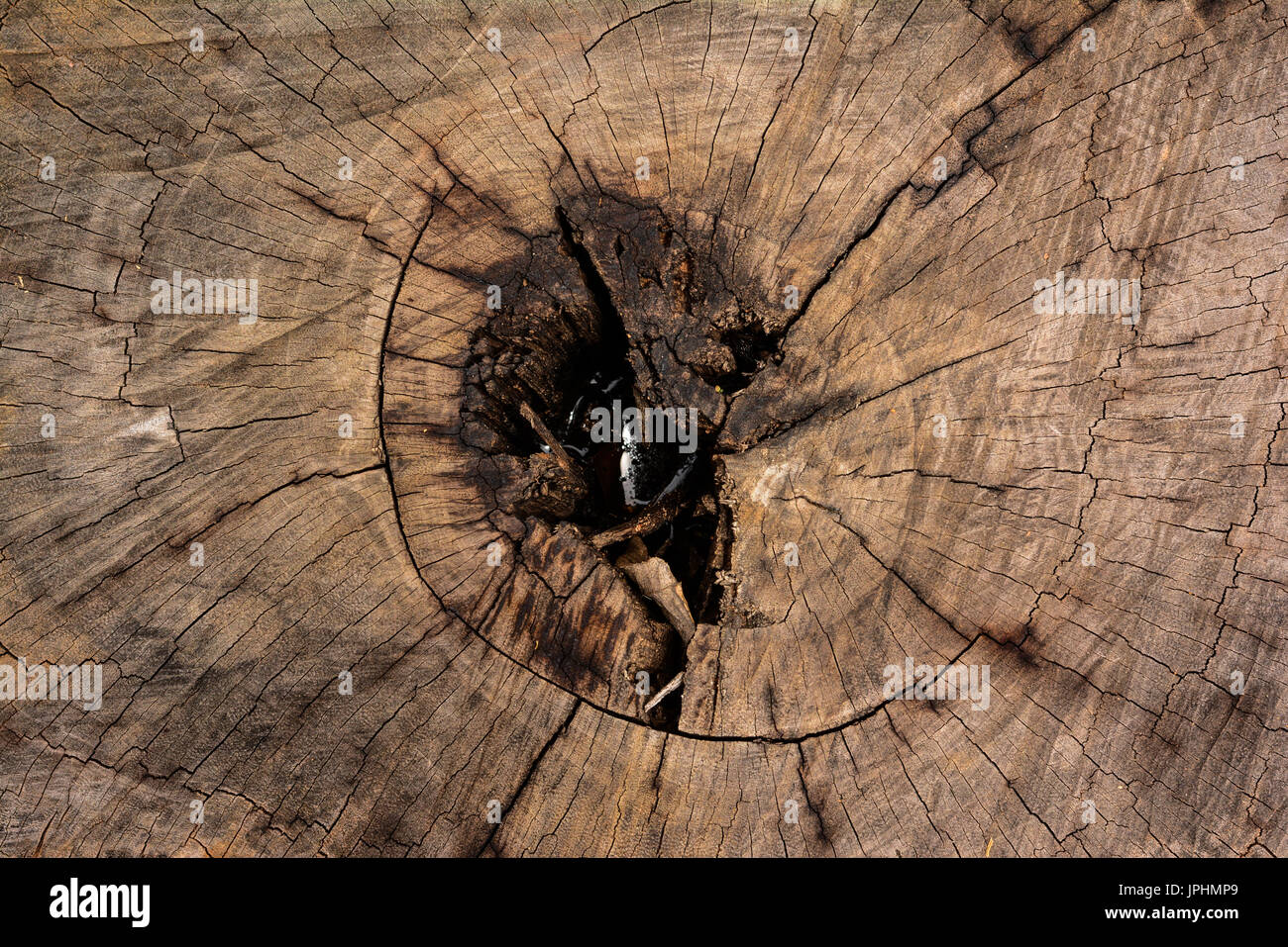 Cracked hole wood Stock Photo - Alamy