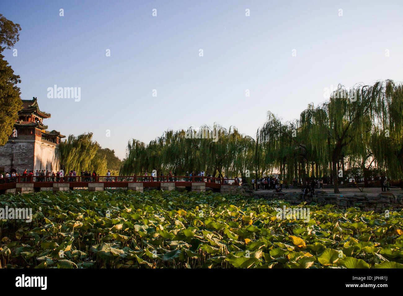 Sumemr hi-res stock photography and images - Alamy