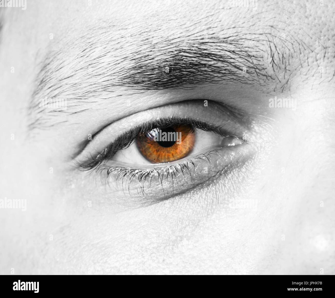 Male eye macro shot Stock Photo - Alamy