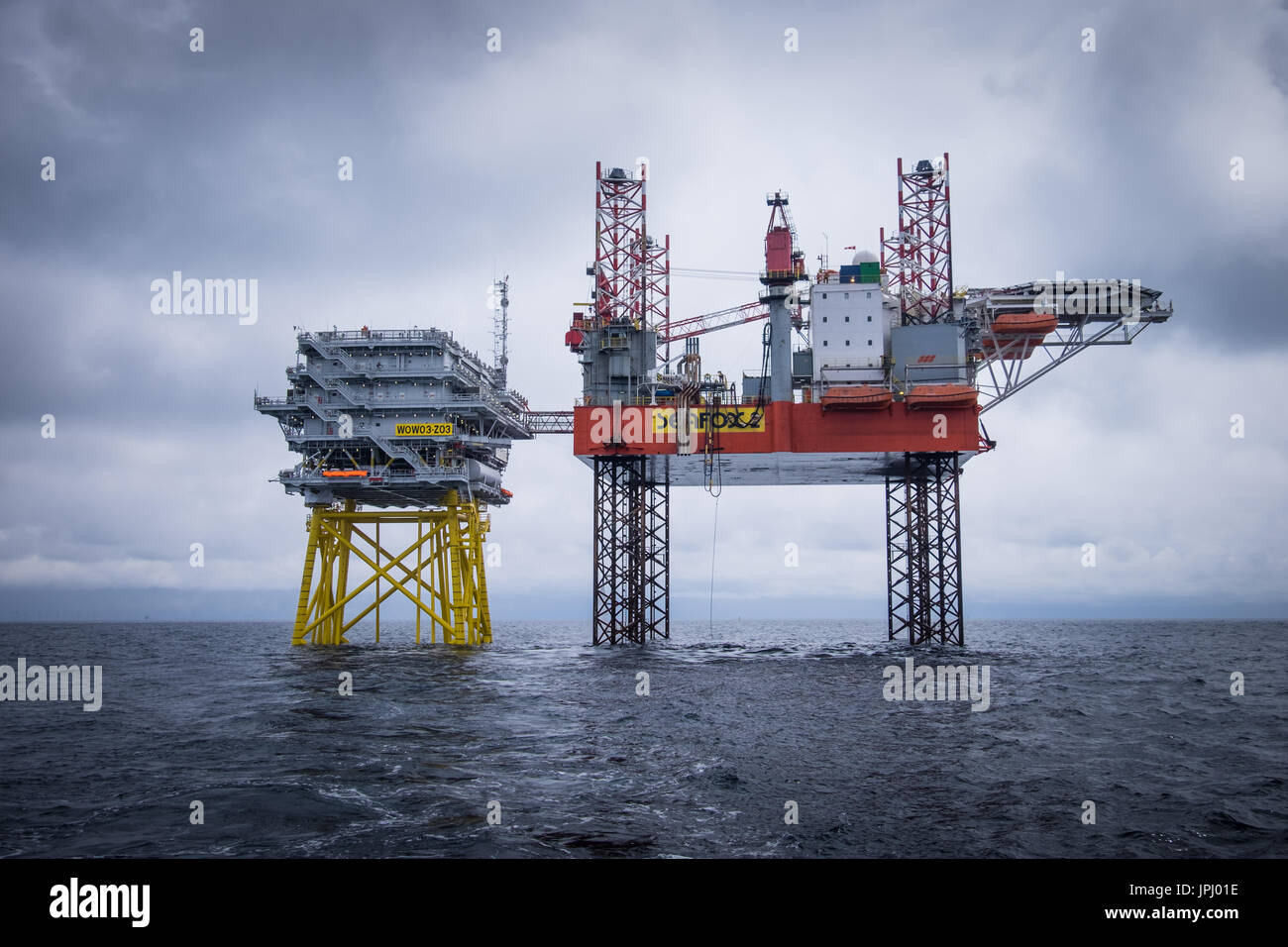 Seafox 2 hi-res stock photography and images - Alamy