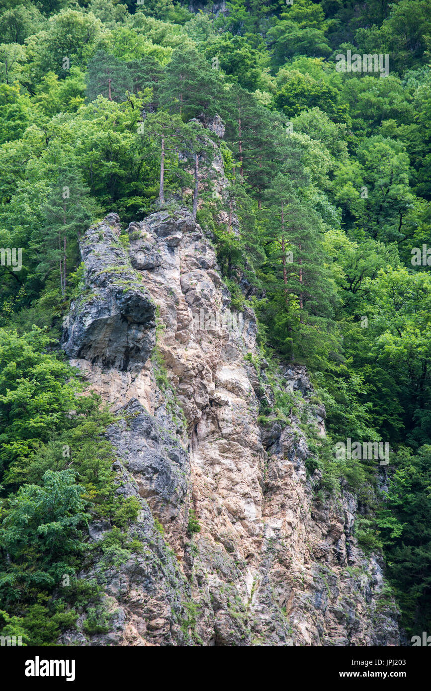 Beautiful mountain scenery . Guam gorge. Krasnodar region Stock Photo ...