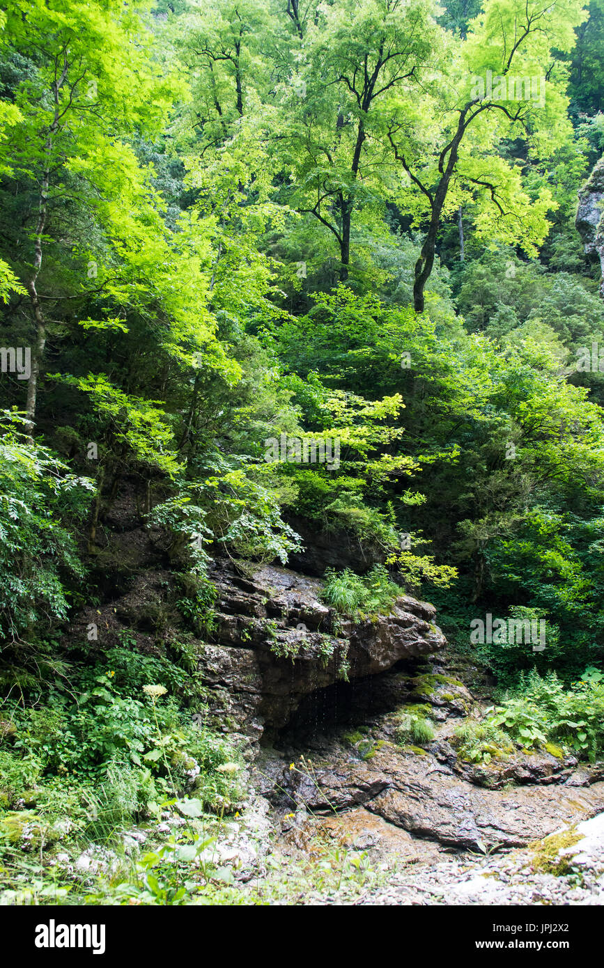 Beautiful mountain scenery . Guam gorge. Krasnodar region Stock Photo ...