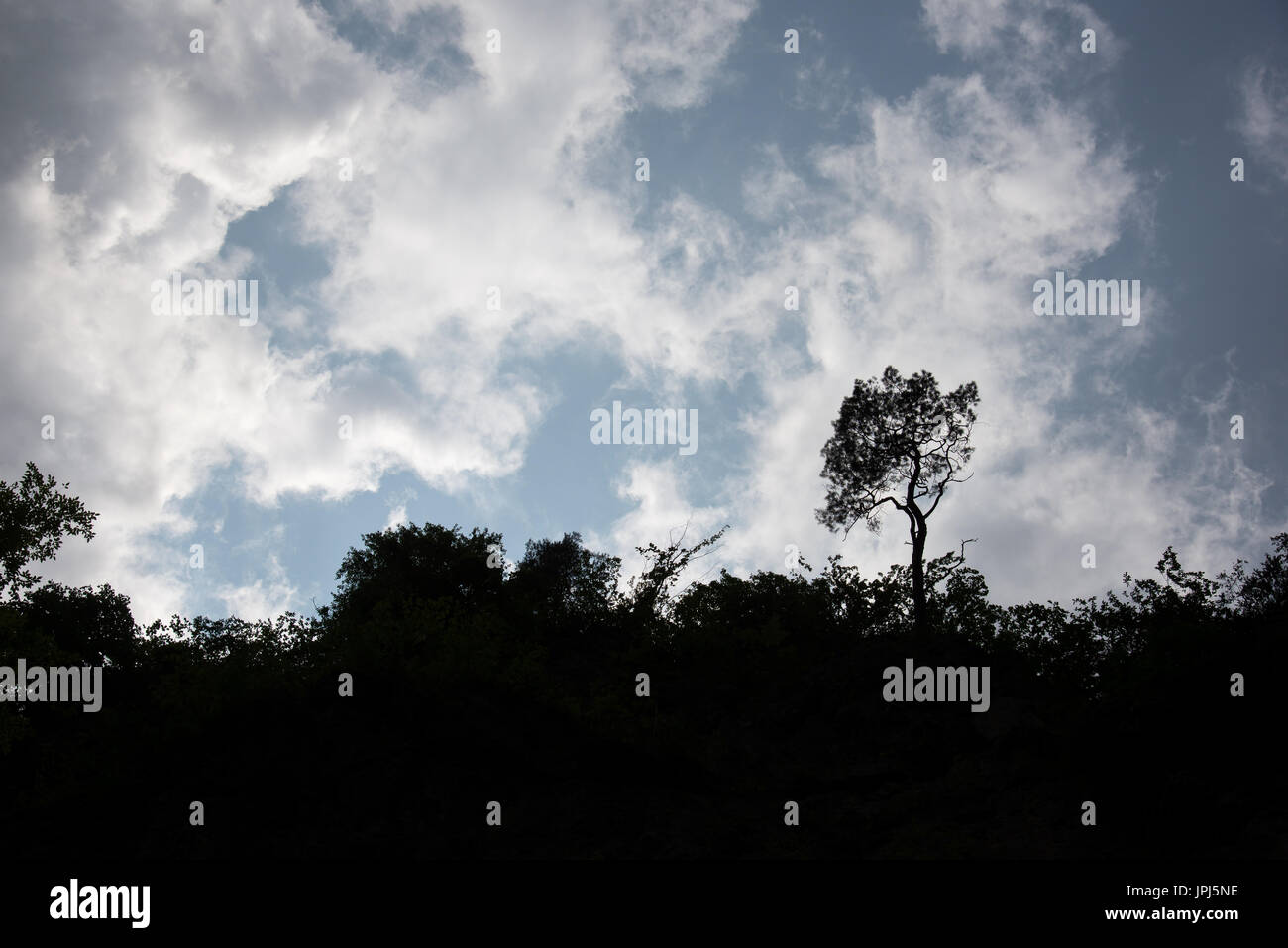 Beautiful mountain scenery . Guam gorge. Krasnodar region Stock Photo ...