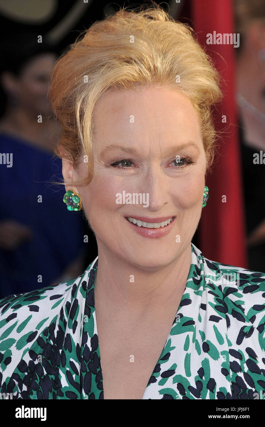 Meryl Streep at The 16th Annual Screen Actors Guild Awards - Arrivals ...