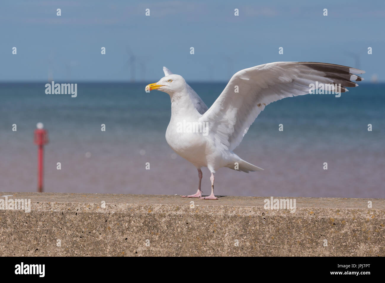 Common ward hi-res stock photography and images - Alamy