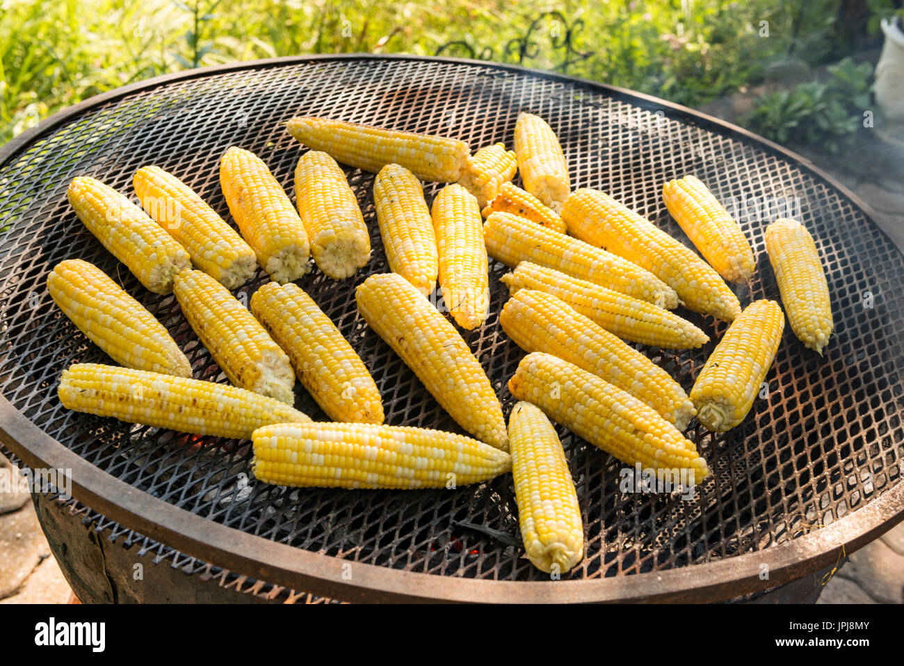 sweet corn grilled on open fire Stock Photo - Alamy