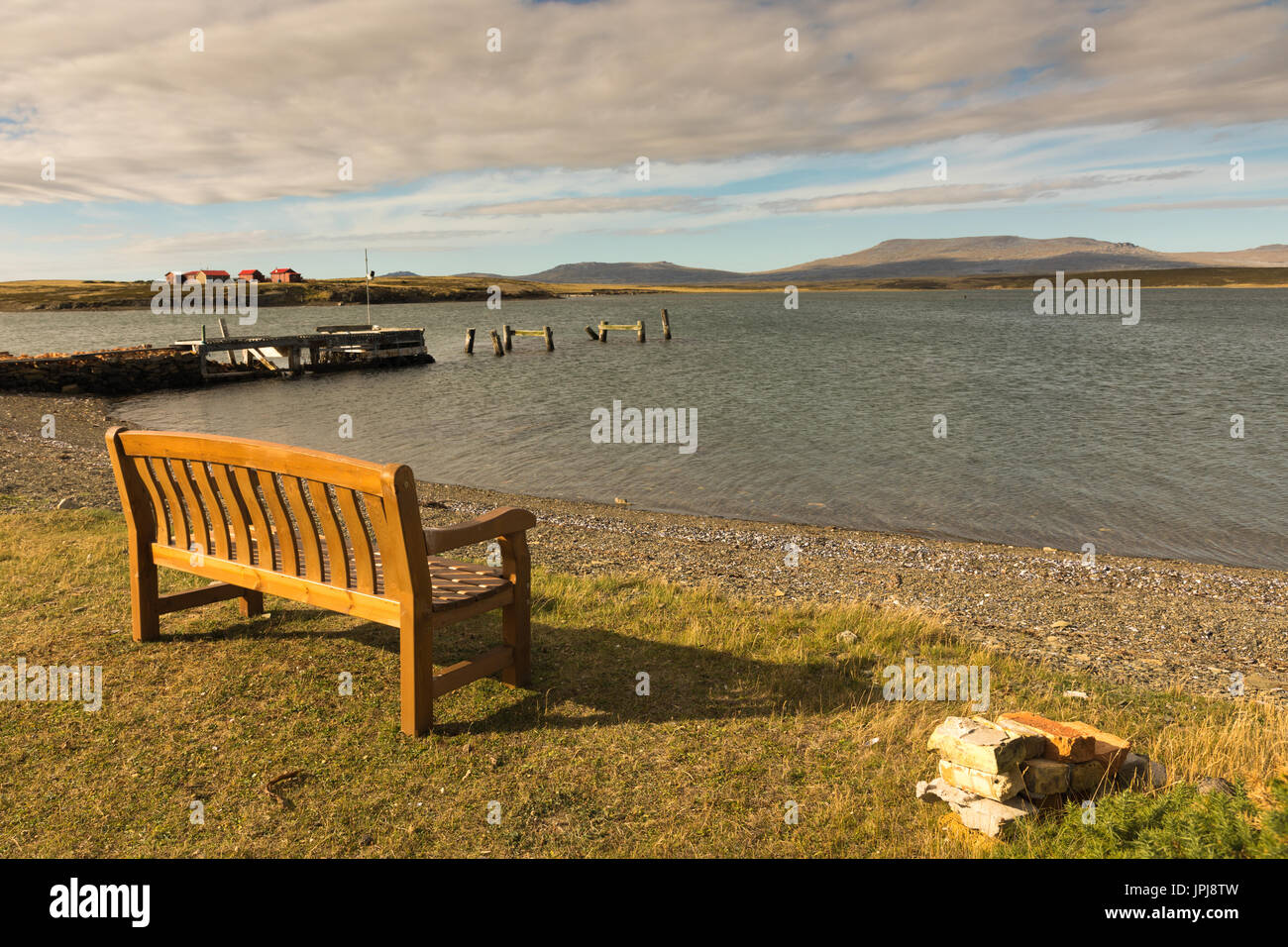 Darwin falklands hi-res stock photography and images - Alamy