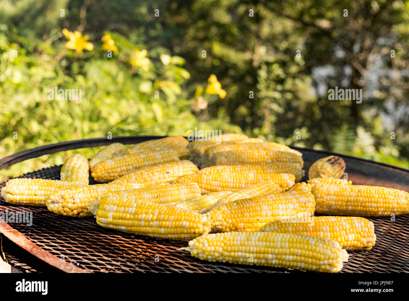 Burnt kernels hi-res stock photography and images - Alamy