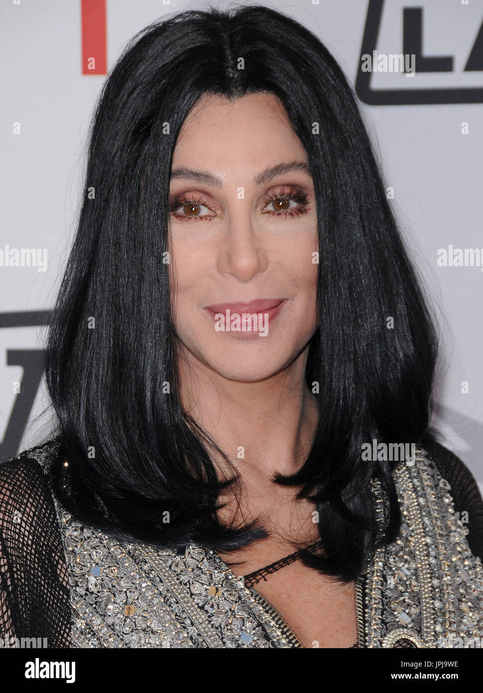 Cher at the AFI Life Achievement Award Honoring Mike Nichols held at ...