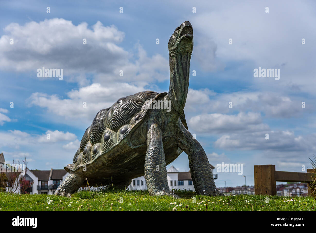 The South Shields Tortoise Statue at South Shields Stock Photo - Alamy