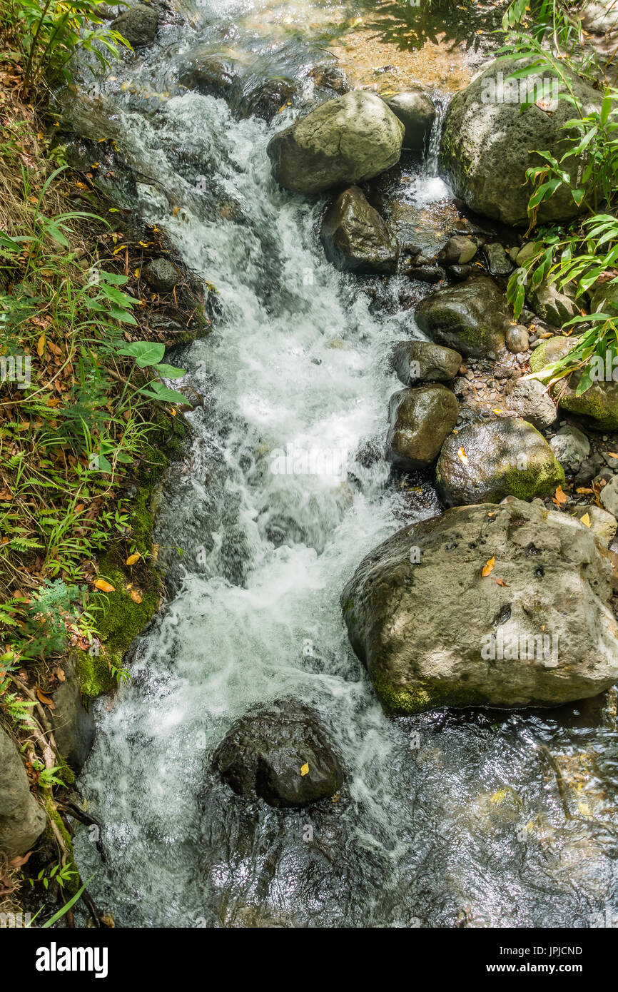 Iao river hi-res stock photography and images - Alamy