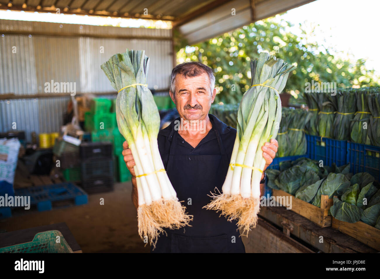 Leek boxes hi-res stock photography and images - Alamy