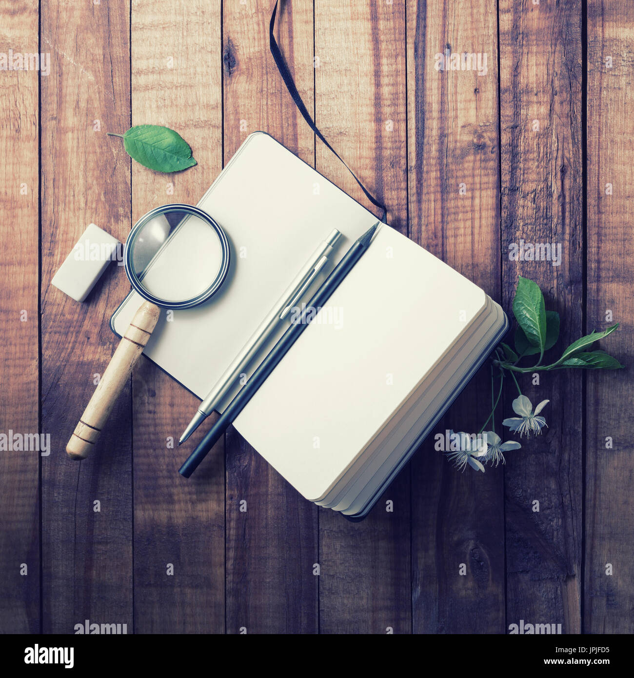 Pen magnifier hi-res stock photography and images - Alamy