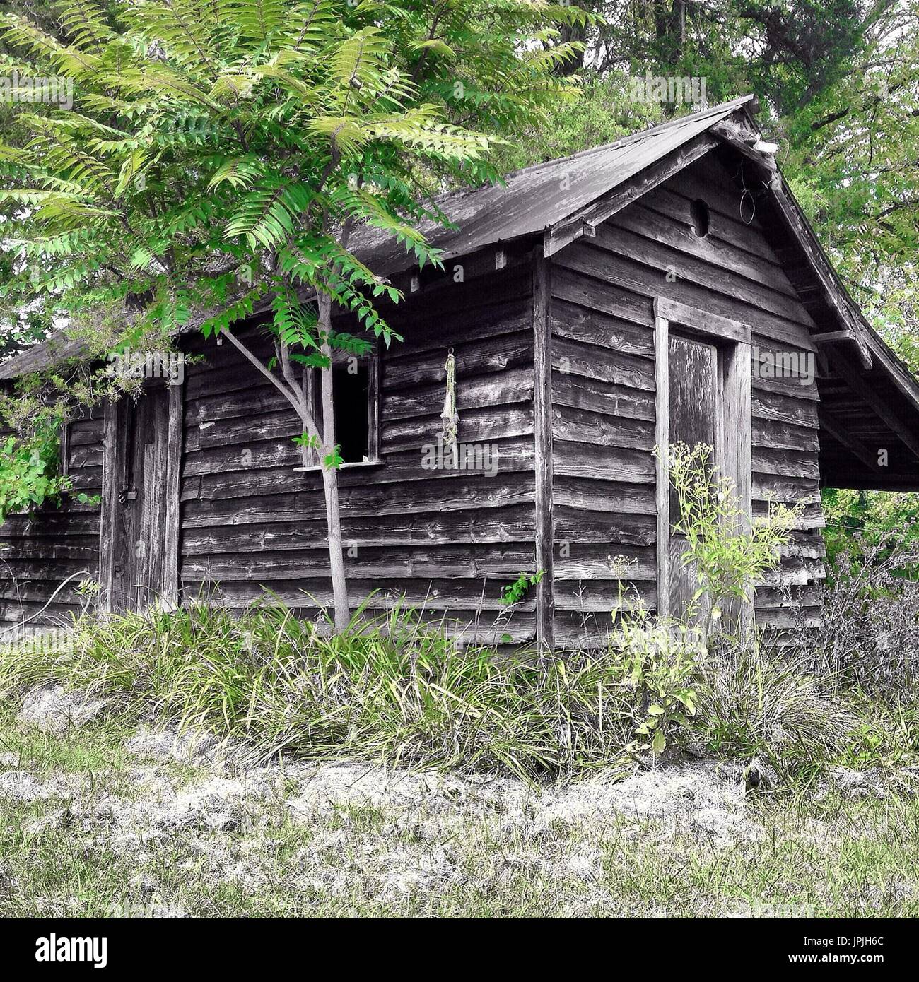 Old Abandoned Hut High Resolution Stock Photography and Images - Alamy