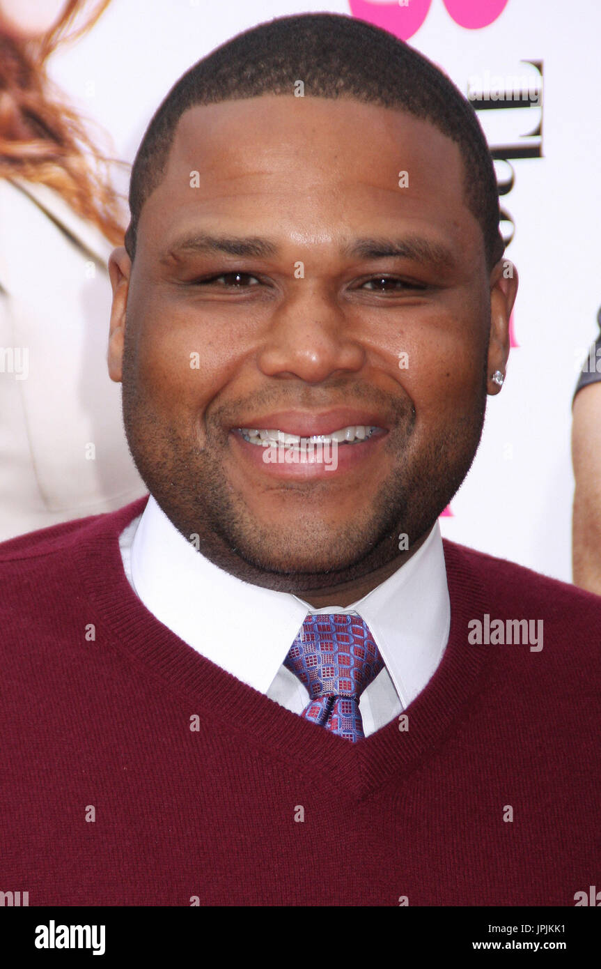 Anthony Anderson at the premiere of CBS Films' THE BACK-UP PLAN held at ...