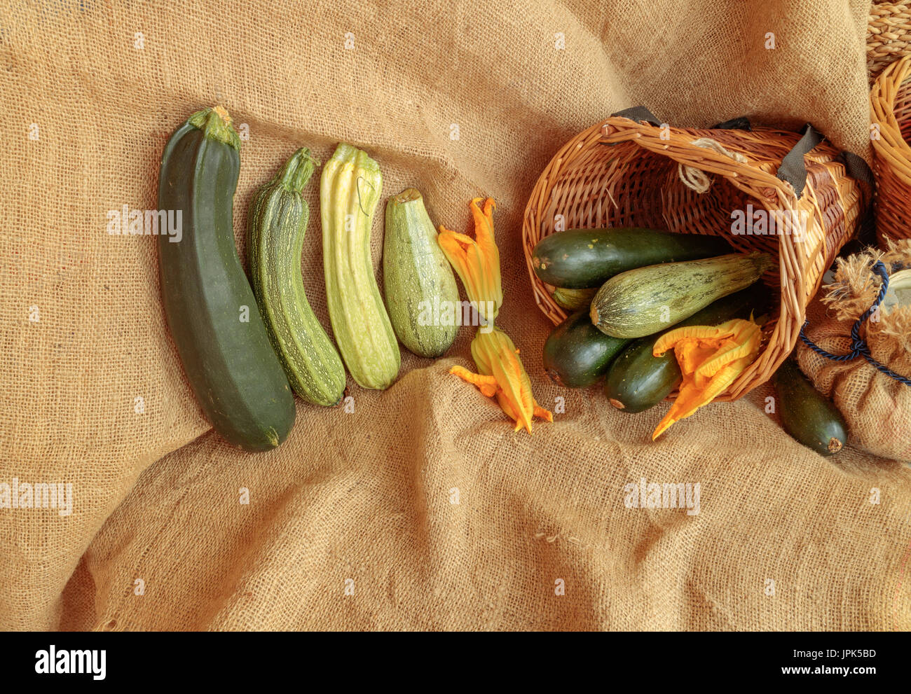 Zucchini harvest scene on jute. Vegetable still life composition Stock ...