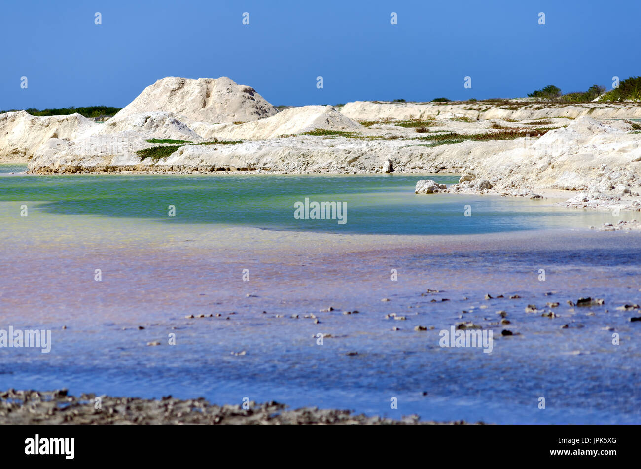 Salt mounds and pools in Rio Lagartos, Mexico Stock Photo - Alamy