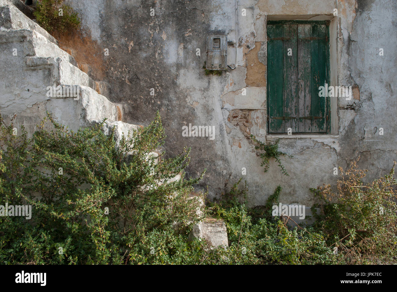 A very neglected garden Stock Photo - Alamy