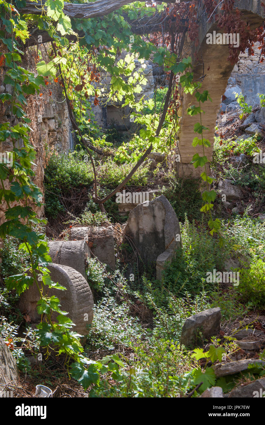 A very neglected garden Stock Photo - Alamy