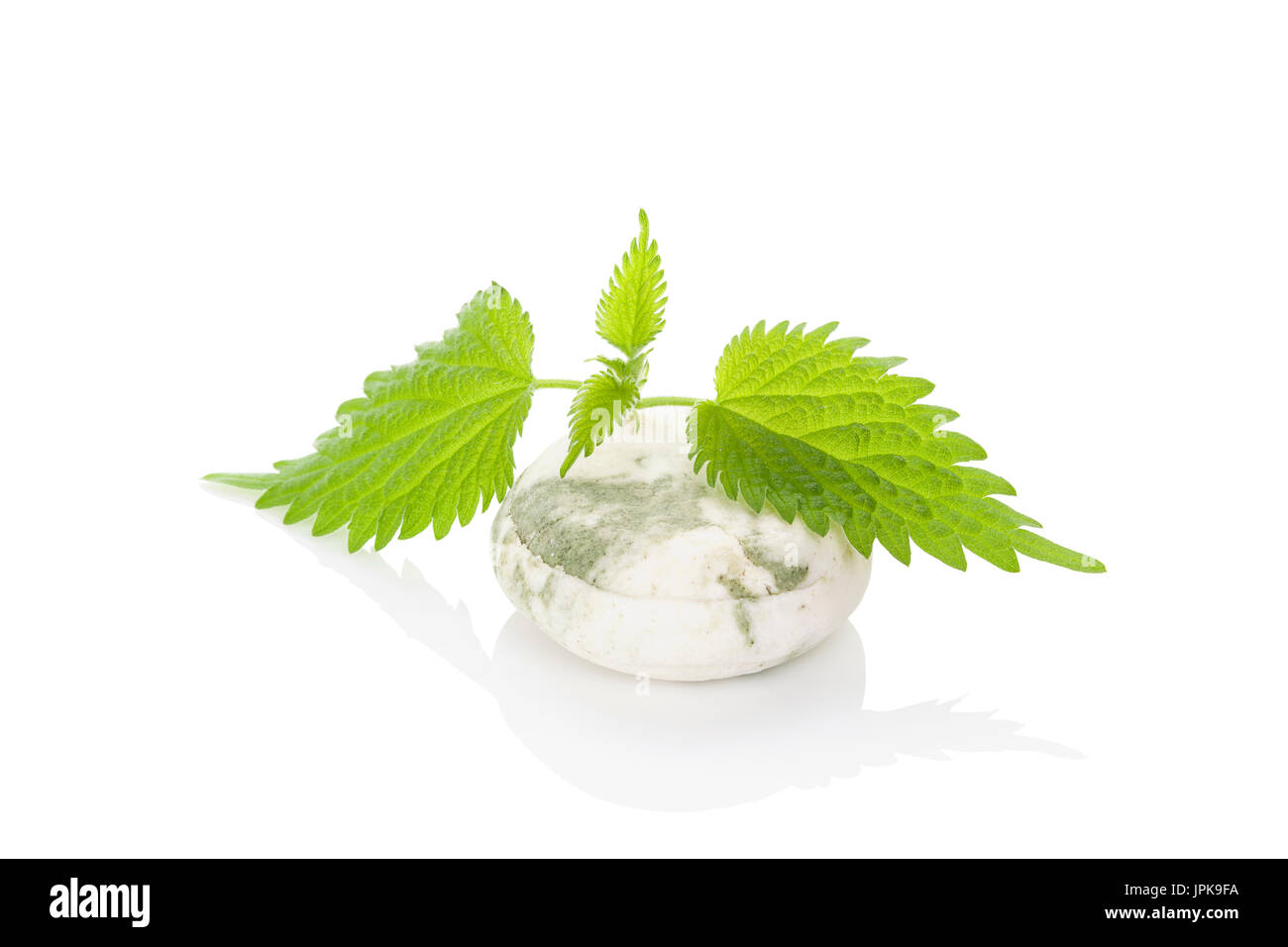 Fresh nettle leaves and organic soap. Healthy natural cosmetics ...