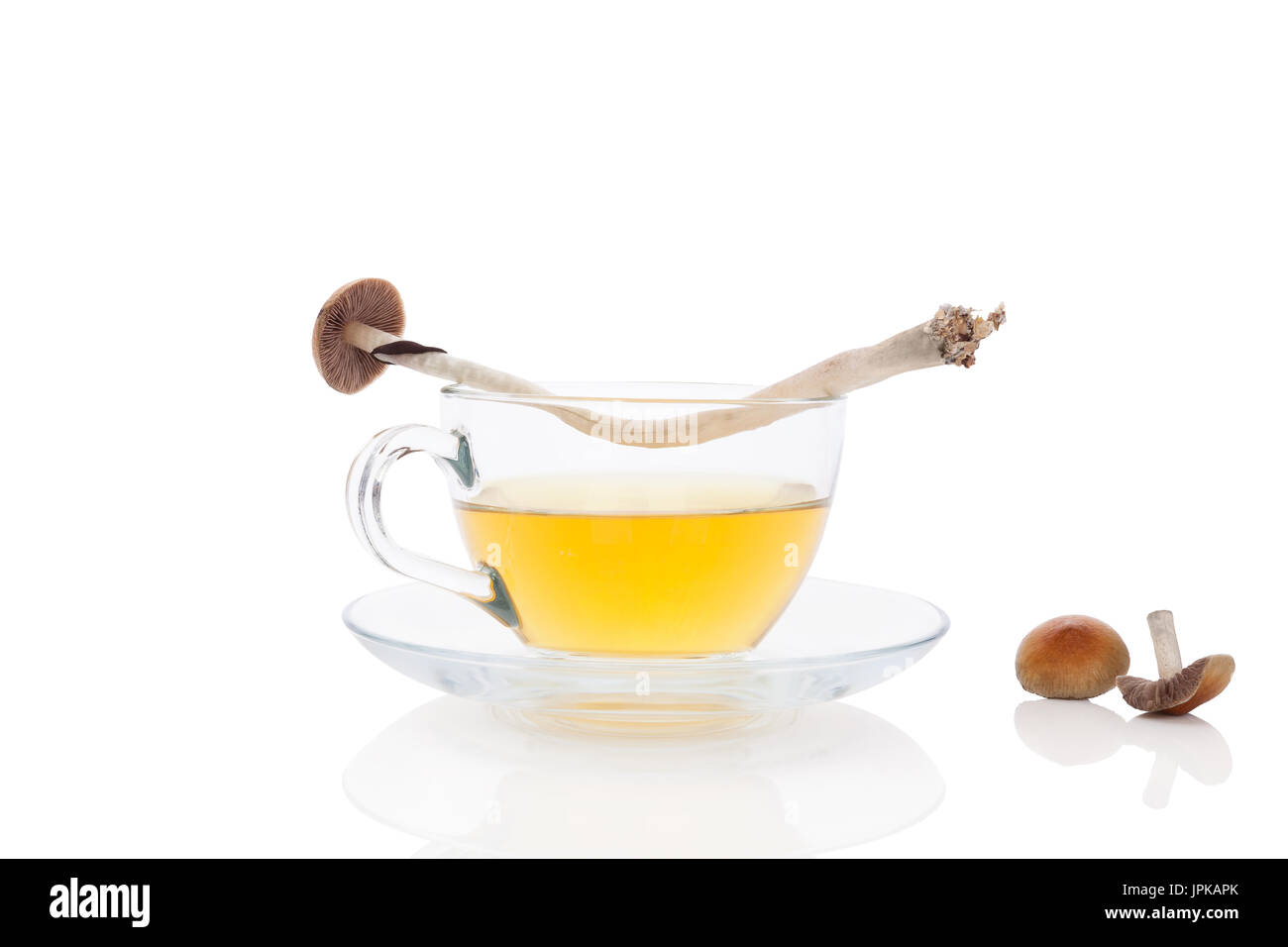 Psychedelic mushroom tea with fresh mushrooms, isolated on white ...