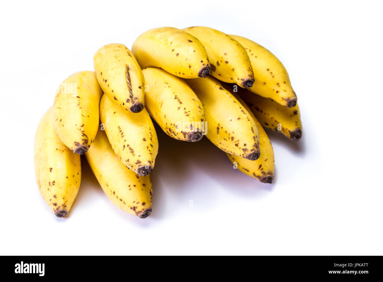 organic small bananas tree ripen with small imperfections isolated on a ...
